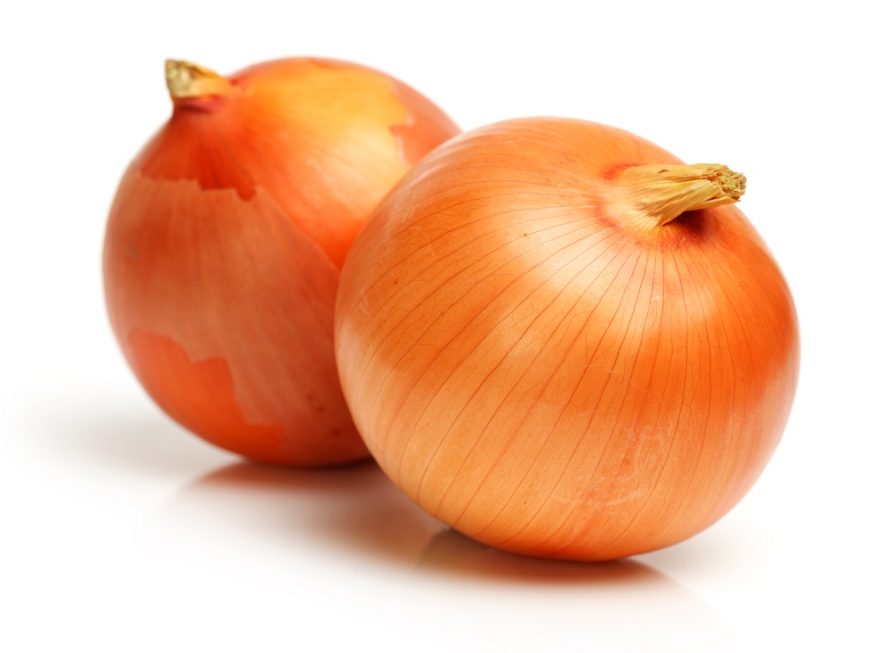 Cebula Topolska - 1250 nasion w Sklep-Nasiona | Sprawdź darmową wysyłkę