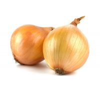 Cebula Exhibition - 250 nasion w Sklep-Nasiona | Sprawdź darmową wysyłkę