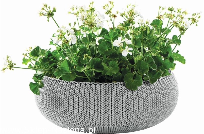 Doniczka niska Cozies - misa - śr. 54 cm - szara w Sklep-Nasiona ... Doniczka niska Cozies - misa - śr. 54 cm - szara w Sklep-Nasiona ...